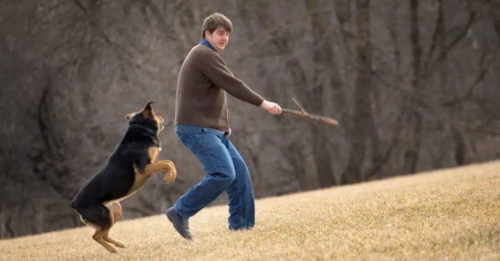 Animal Play Behavior: Why It Matters and What We Can Learn ...