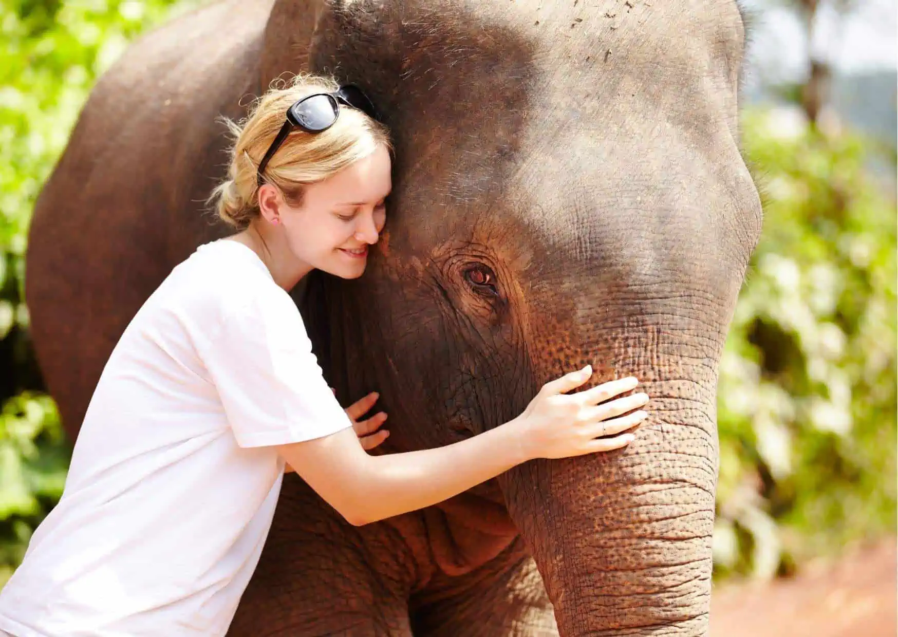 What Do Animals Think of Humans? - AnimalBehaviorCorner