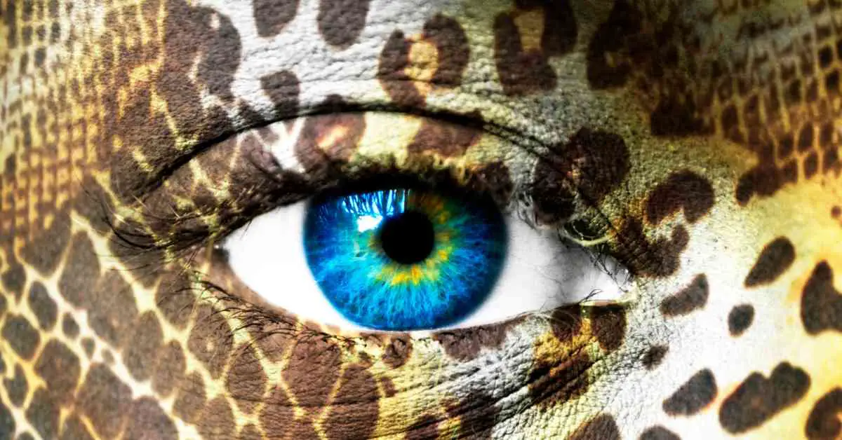Animal Instincts vs Human Influence: Understanding the Dynamics ...